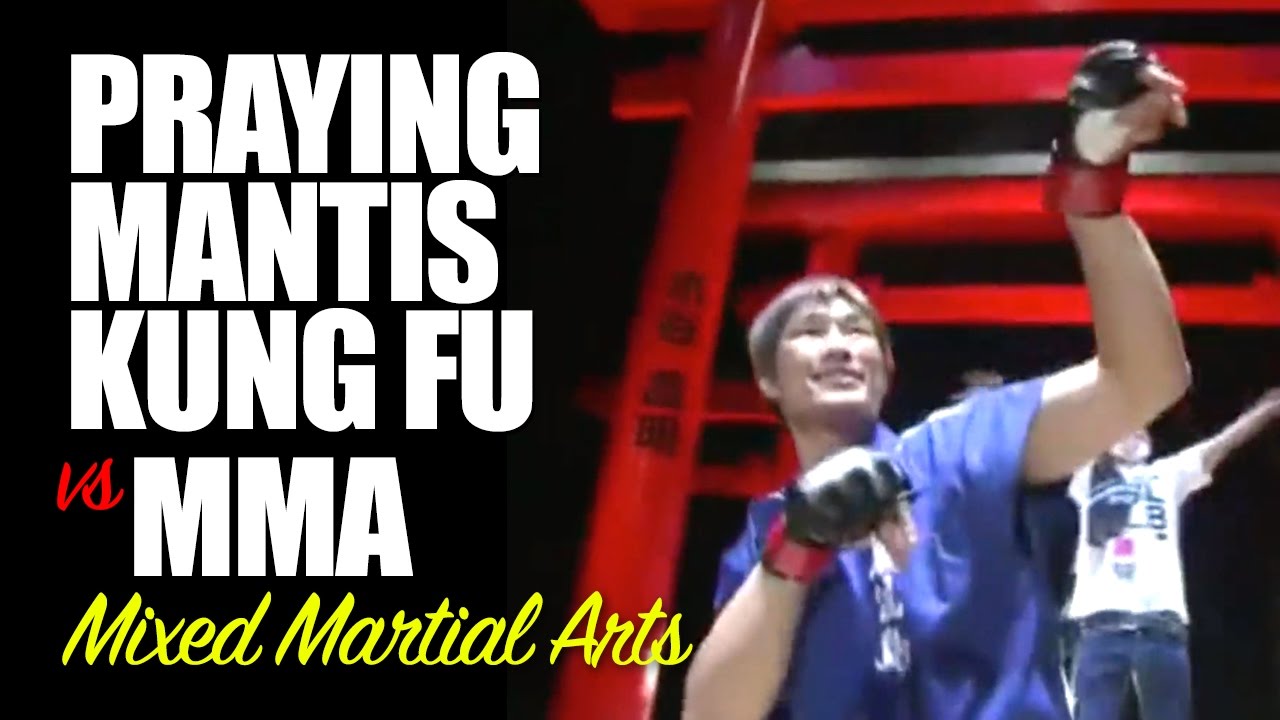 Kung Fu Vs MMA, again