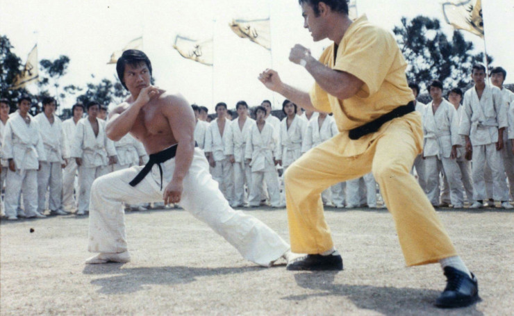 Bolo Yeung vs Sammo Hung | Kung Fu vs Karate