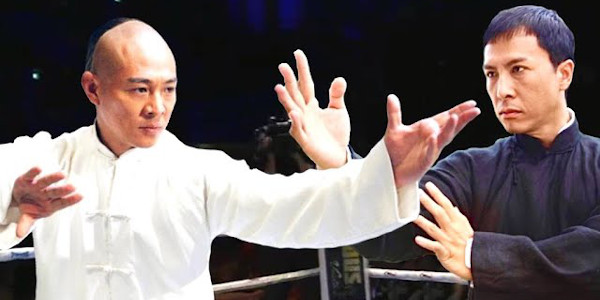 Jet Li vs Donnie Yen | Wushu vs Wing Chun