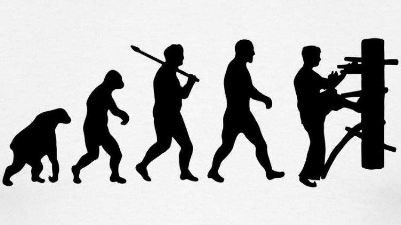 From Novice to Master: The Wing Chun Learning Curve Explained